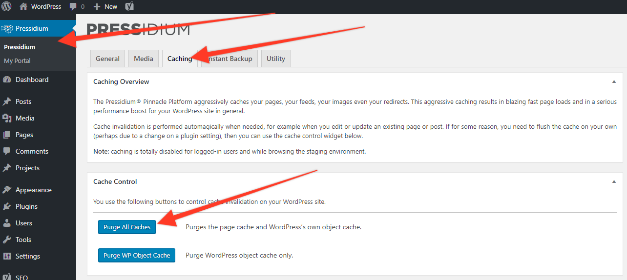 The Quick Guide to Using the Facebook Debugger to Fix WordPress Images - Pressidium® Managed ...