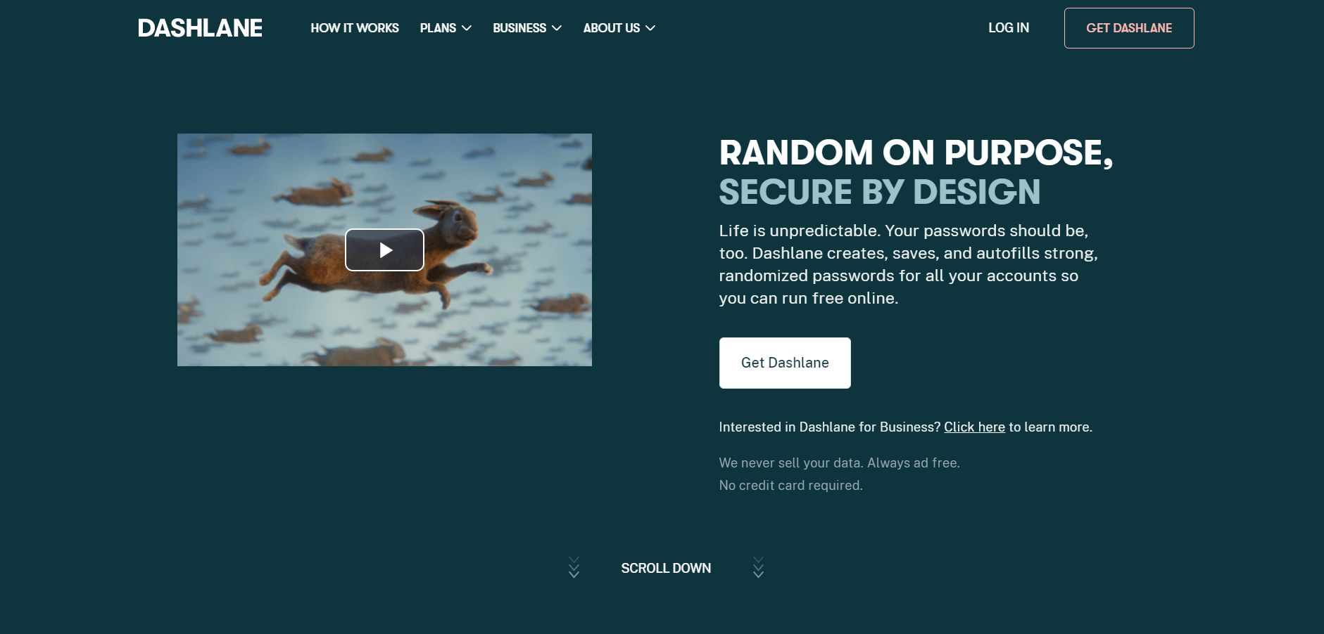 The Best Password Manager Apps Pressidium® Managed Wordpress Hosting